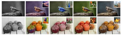 论文阅读：real Time User Guided Image Colorization With Learned Deep Priors