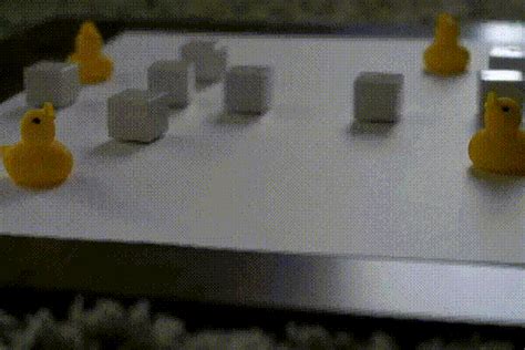Robot Demo