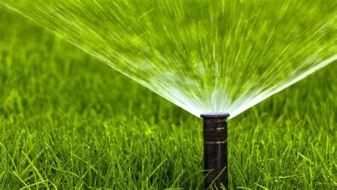 differenze tra irrigatori statici e irrigatori dinamici