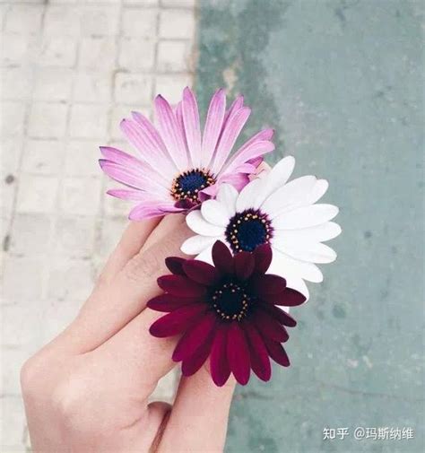 人生的味道 知乎