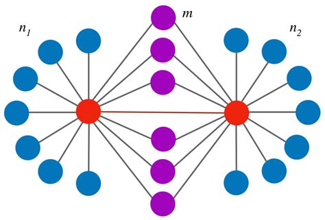 A Generic Two Qubit Subsystem Red Dots Of A Graph State Is Shown With Download Scientific