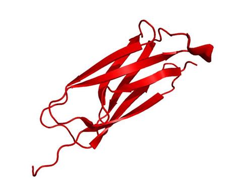 Alpha 2 Macroglobulin Alchetron The Free Social Encyclopedia