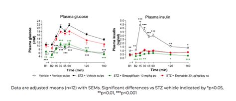 Streptozotocin High Fat Diet Model Of Diabetes