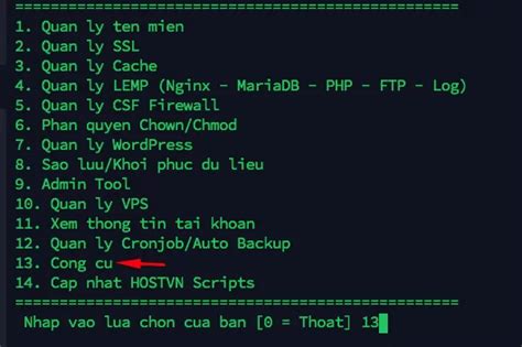 Top 5 Script Quản Lý Vps Made In Việt Nam Tốt Nhất