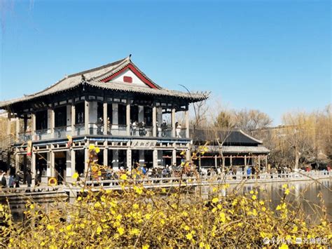 五龙潭美景春意盎然 济南 王中