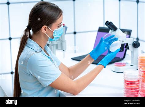 Antibiotic Susceptibility Testing Petri Dishes Are Used To Perform