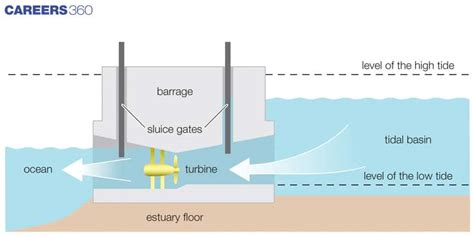 Simple Tidal Energy Diagram