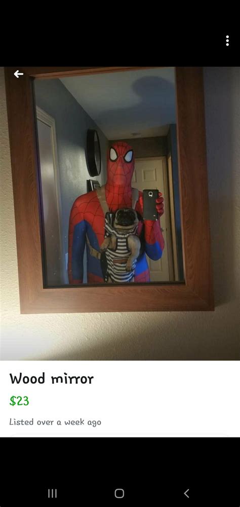 Hey Spider Scrolller