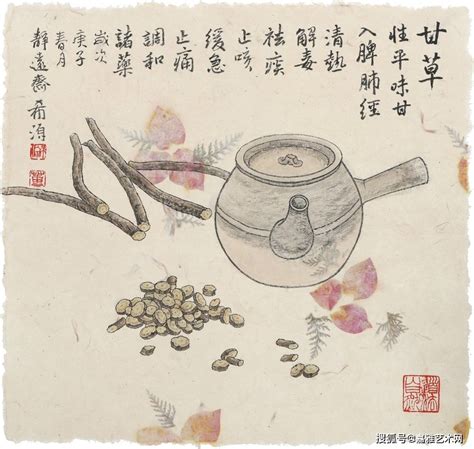绘草本精华扬中医国粹清肺排毒汤组画董希源创作展 搜狐大视野 搜狐新闻