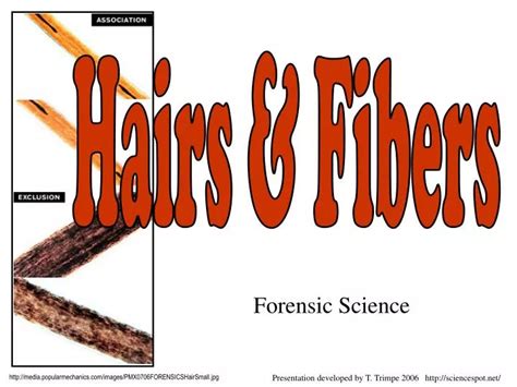 PPT Forensic Science PowerPoint Presentation Free Download ID 3806973