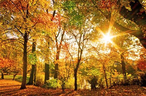 За нас Климатека