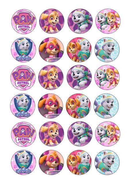 Paw Patrol Skye Everest Edible Cupcake Fairy Toppers Edible Wafer Paper