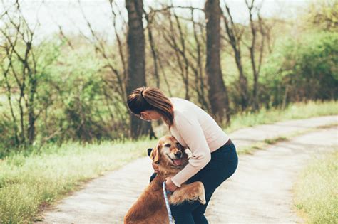 행복한 여자와 공원에서 그녀의 아름다운 골든 리트리버 35 39세에 대한 스톡 사진 및 기타 이미지 35 39세 개 골든 리트리버 Istock