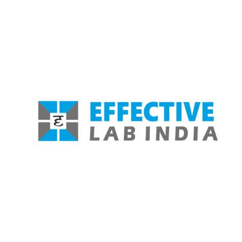 Effective Lab India Leading Manufacturer Of Lab Testing Instruments Like Salt Spray Chamber