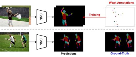 Universal Weakly Supervised Segmentation By Pixel To Segment Contrastive Learning ΑΙhub