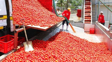 Οι Top 10 ΠΙΟ ΓΡΗΓΟΡΟΙ ΕΡΓΑΖΟΜΕΝΟΙ ΣΤΟΝ ΚΟΣΜΟ Toptengr Youtube