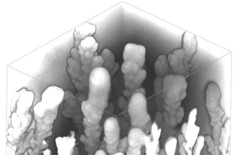 Unraveling The Hidden Growth Of Mineral Dendrites
