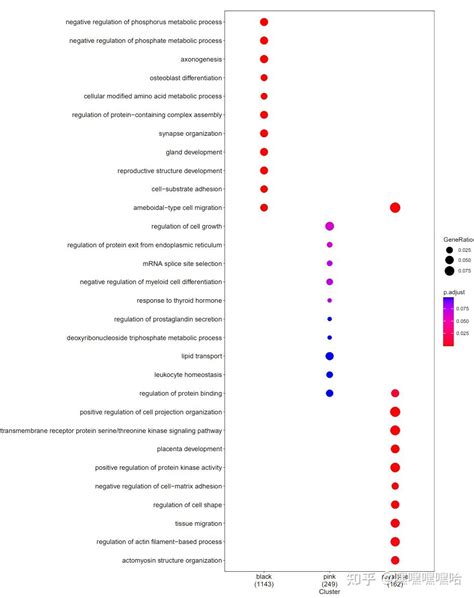 Rna Seq入门实战（十一）：wgcna加权基因共表达网络分析——关联基因模块与表型 知乎