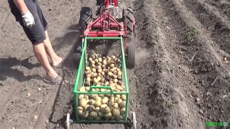 To Save His Back Guy Creates Ingenious Potato Harvesting Machine From