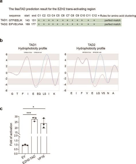 A Cryptic Transactivation Domain Tad Of Ezh2 Ezh2 Tad Directly Download Scientific Diagram