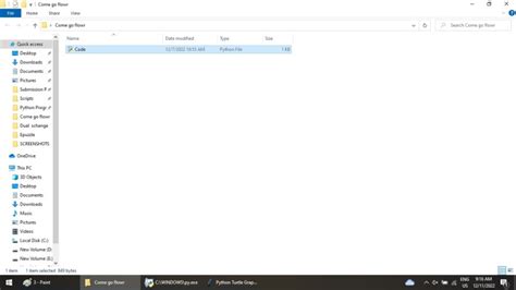 python program to basic new come go flowr design using the python tkinter kashipara