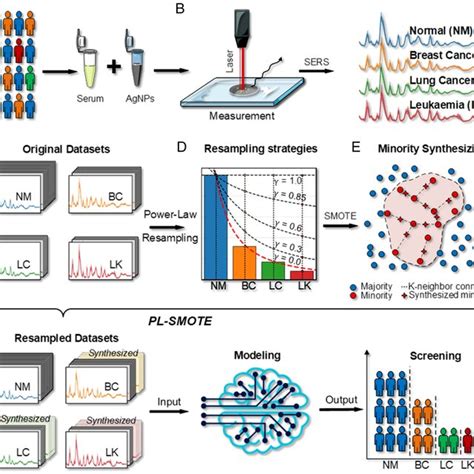 Dnn Architecture For The Imbalanced Serum Sers Cancer Screening And Its