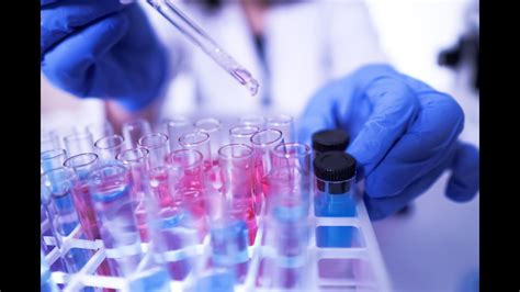 NYS Comptroller Audit Finds NYSP Crime Lab Failed To Process Sex Assault Evidence In A Timely