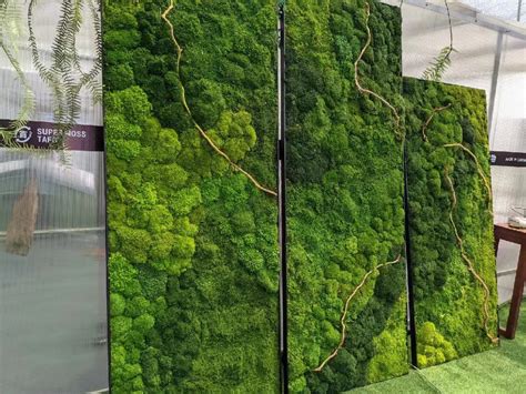 案例中心 植物墙仿真植物墙屋面绿化