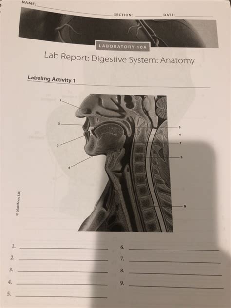 Solved Name Section Date Laboratory 10a Lab Report