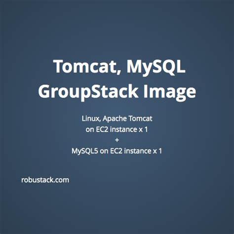 Info Tomcat Mysql