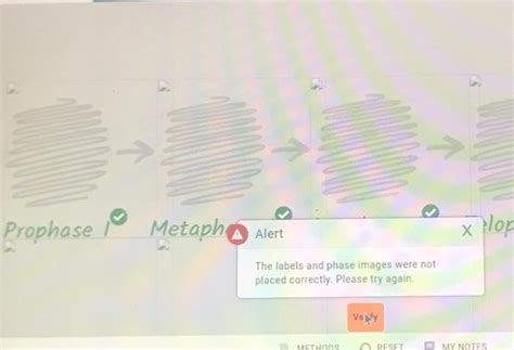 The Formed Elements Of The Blood Are Platelets