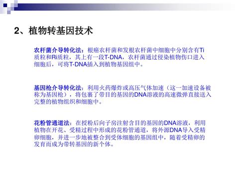 转基因和基因敲除技术介绍 张 晓 军 刘 杰 魏 岱 旭 Ppt Download
