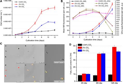 Physiological And Biochemical Characterization Of C 169 Under Different Download Scientific