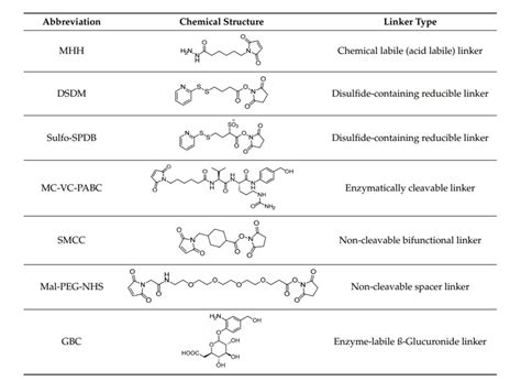 Review Of Structure Activity Relationship Based On Trastuzumab ADC BOC Sciences