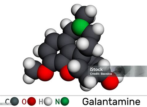 갈란타민 분자 그것은 치매 알츠하이머 병을 테레이트하는 데 사용되는 삼차 알칼로이드입니다 분자 모델 3d 렌더링 3차원 형태에 대한 스톡 벡터 아트 및 기타 이미지 Istock