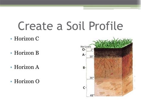 PPT SOIL PROFILES PowerPoint Presentation Free Download ID