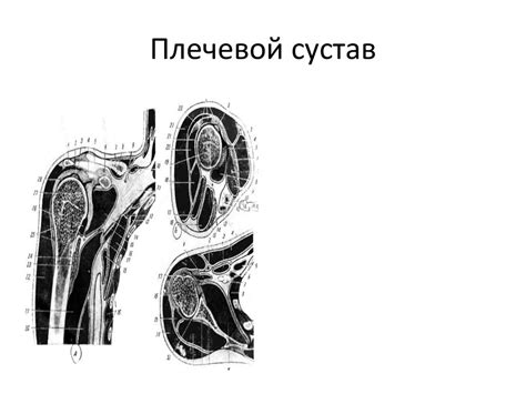 Топографическая анатомия и оперативная хирургия верхних конечностей