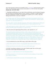 Understanding DNA Damage And Repair Mechanisms A Study Guide Course Hero