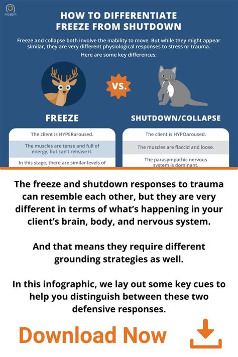 Infographic The Difference Between Freeze And Shutdown Trauma Responses Artofit