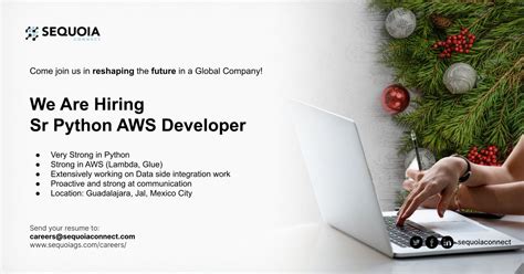 sequoia connect on linkedin sr python aws developer 01 049 sequoia connect