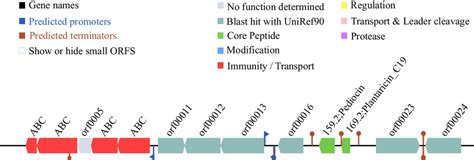 Genes Related To Bacteriocin Production In Cp201 Were Analyzed By Bagel Download Scientific
