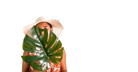 How To HIDE Pinterest Images In Wordpress Blog Posts One Fine Wallet