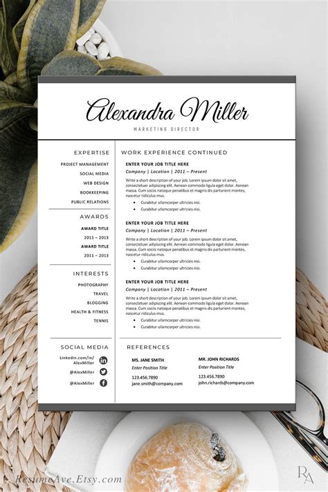 Resume Template Word Document With Script Calligraphy Name Resume Template Word Document For