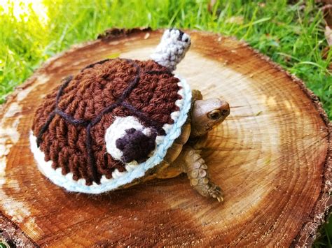 Blastoise Inspired Costume For Turtletortoises Etsy Turtle Pet