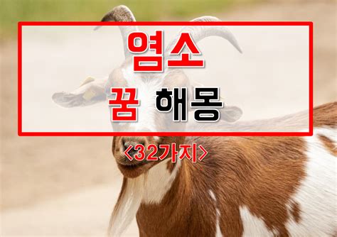 염소 Helpful Information