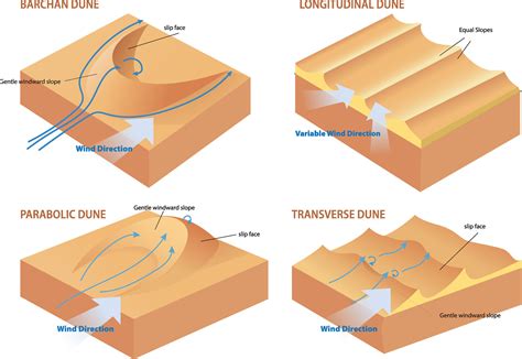 Types Of Dune Cross Section Diagram Illustration 42674016 Vector Art At