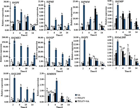 Expression Patterns Analyses Of Ascorbic Acid Asa Biosynthetic Genes