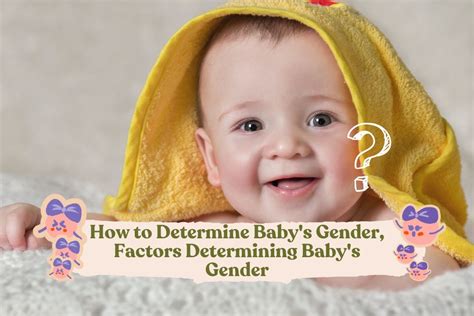 How To Determine Baby S Gender Factors Determining Baby S Gender