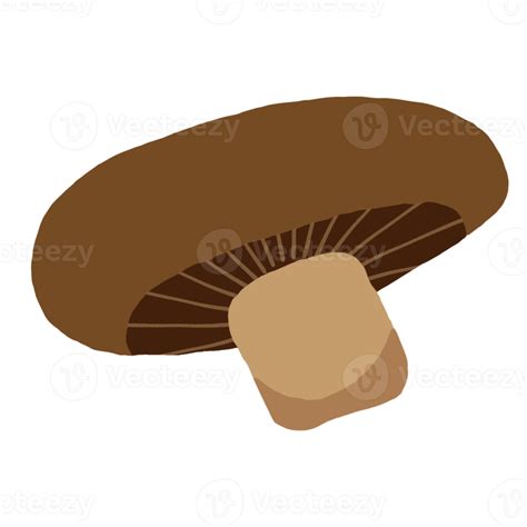 Mushroom Vegetable Healthy Food 17222188 Png
