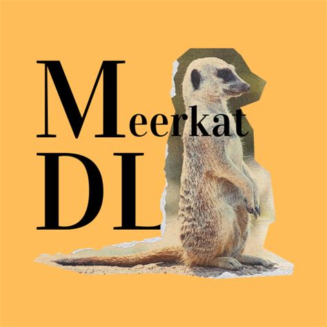 github raghavsaboo meerkat dl a deep learning framework written purely in numpy cupy for